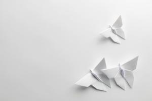Come fare una farfalla con origami