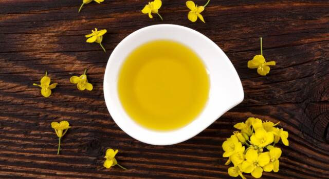 Tutta la verità sull'olio di colza: fa male? Quali sono i benefici?