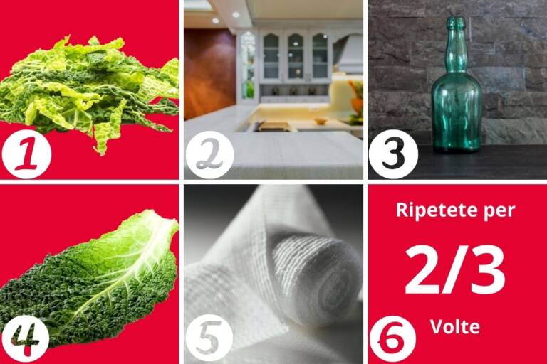 Impacchi di verza: come fare e i benefici per dolori articolari e muscolari