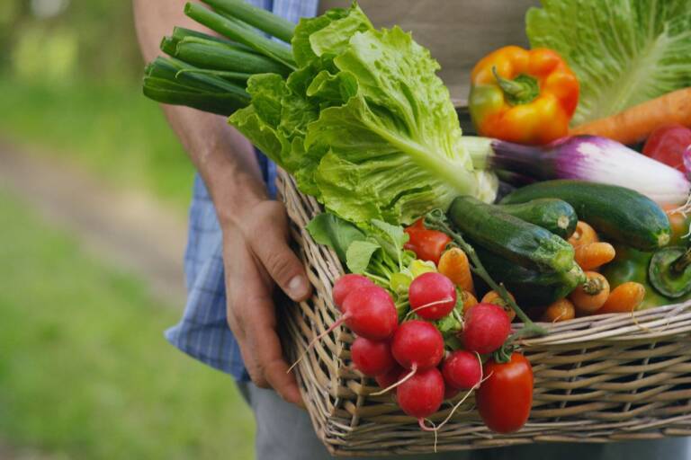 Elenco delle verdure, dalla A alla Z