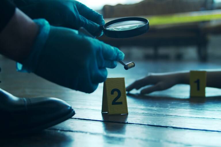 Luca Delfino, chi è il "killer delle fidanzate": omicidio e condanna