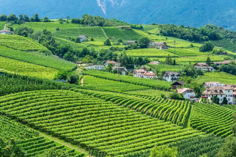 Estate in Alto Adige: il fascino di Cornaiano, tra vigneti e castelli