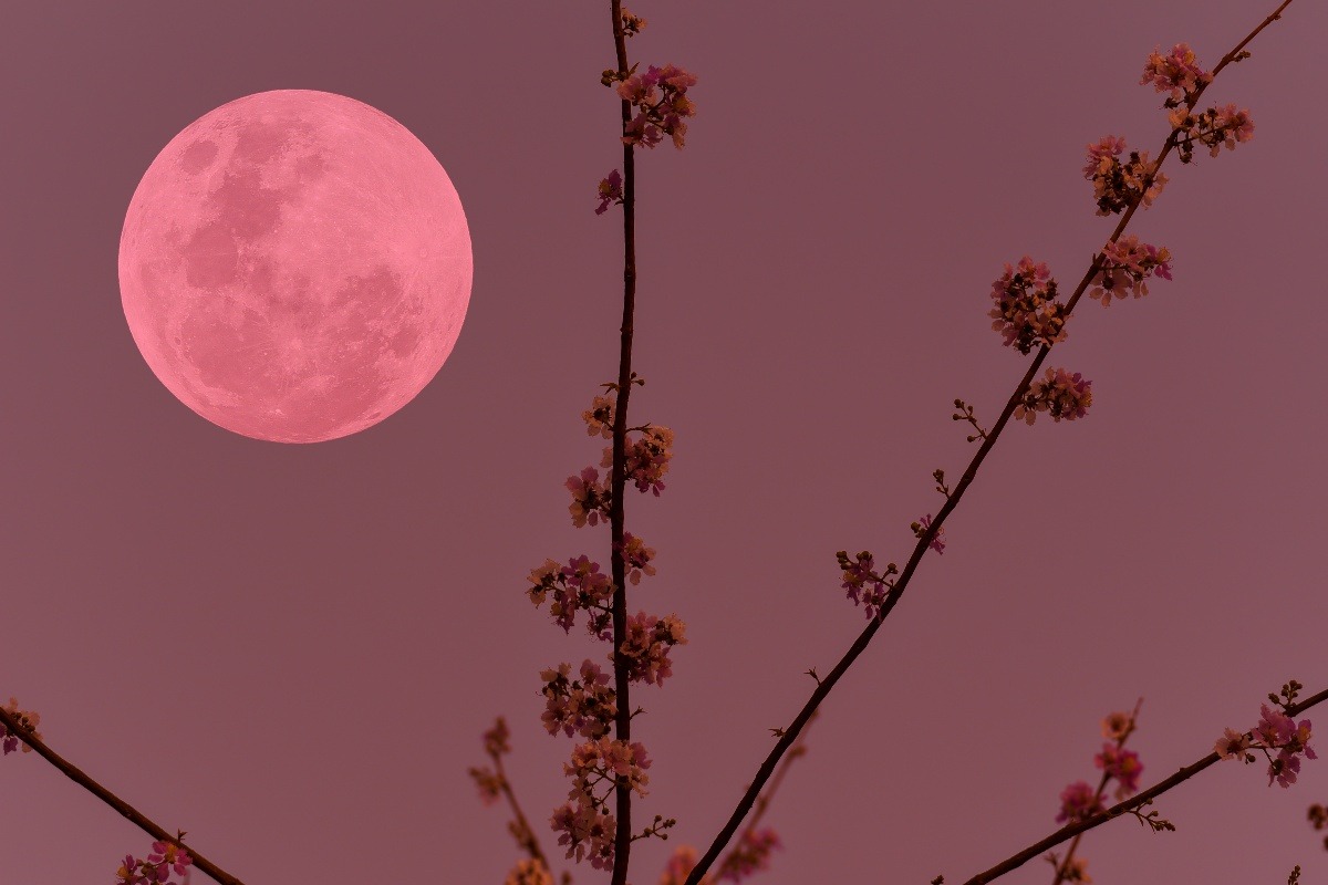 Luna rosa, 1 aprile 2026: orari, significato e come vederla